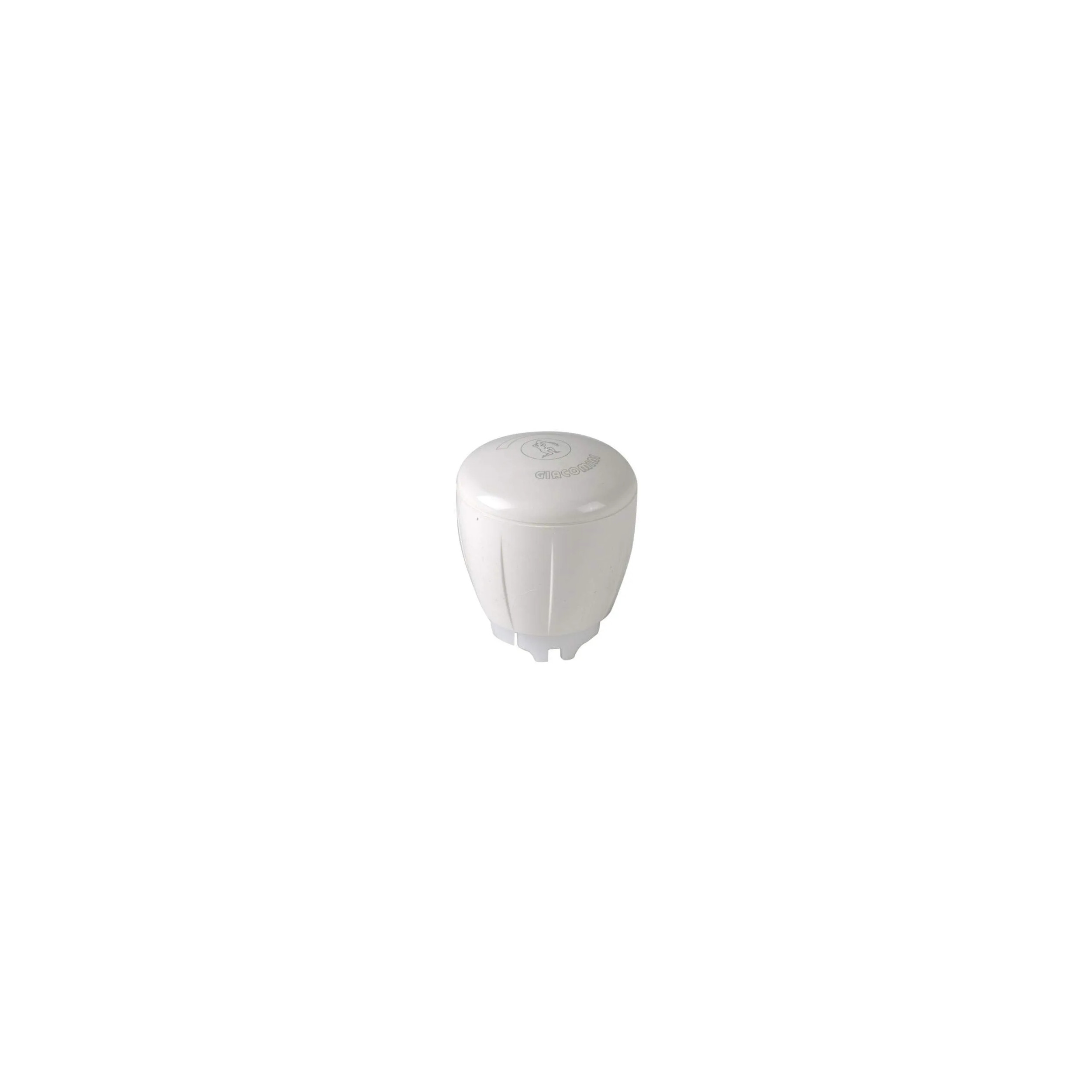 GIACOMINI R450X012 manual head