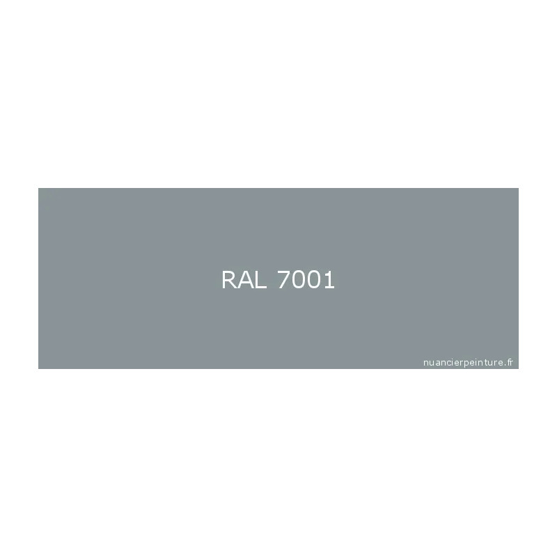400ml gloss spray paint, silver grey, RAL 7001