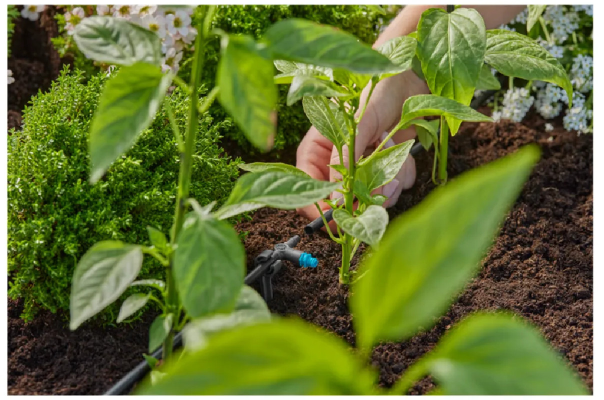 Self-regulating in-line dripper for irrigation, 2 l/h, 10 pcs.